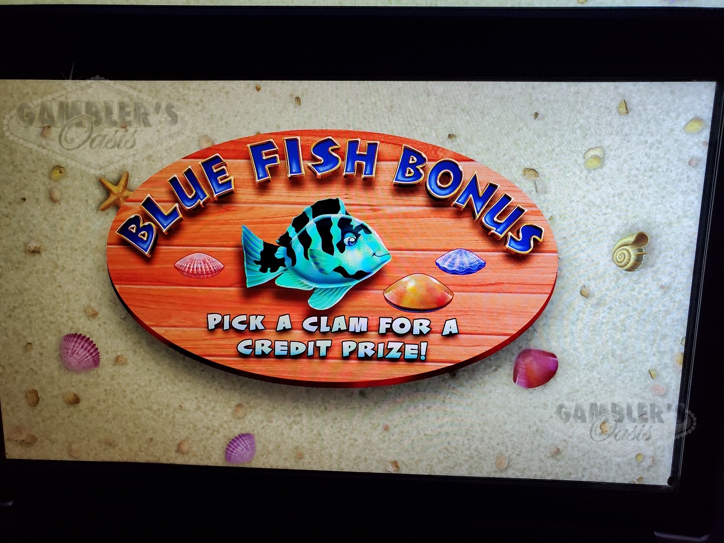 WMS BLADE GOLDFISH 3 BB3 VIDEO SLOT MACHINE For Sale • Gambler's Oasis USA